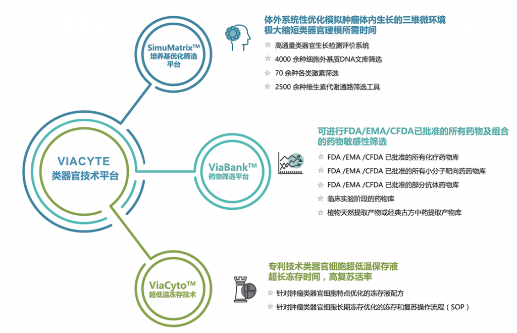 类器官疾病模型(PDOs) - 北京科途医学科技有限公司 — 类器官技术 | 肿瘤个体化精准医学 | 肿瘤功能性检测