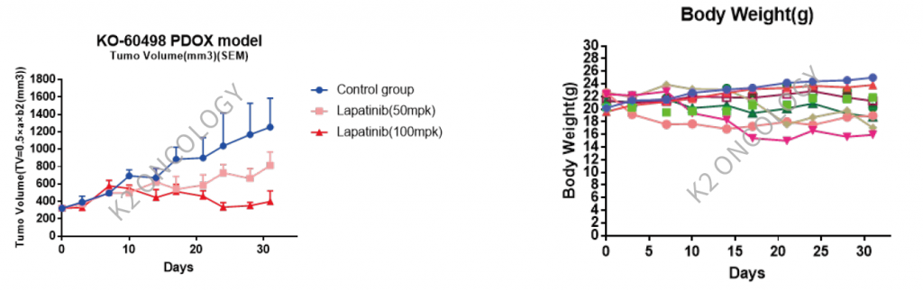 PDOX模型药物评价 - 北京科途医学科技有限公司 — 类器官技术 | 肿瘤个体化精准医学 | 肿瘤功能性检测