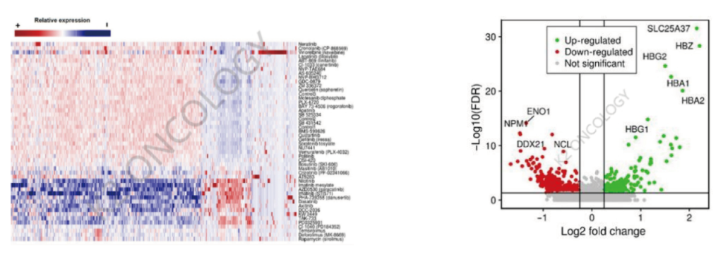 PDOX模型药物评价 - 北京科途医学科技有限公司 — 类器官技术 | 肿瘤个体化精准医学 | 肿瘤功能性检测