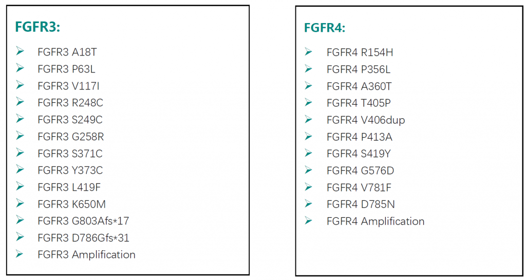 FGFRs 靶点及信号通路 - 北京科途医学科技有限公司 — 类器官技术 | 肿瘤个体化精准医学 | 肿瘤功能性检测