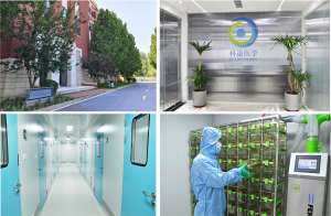 CDX/PDOX/PDX模型 - 北京科途医学科技有限公司 — 类器官技术 | 肿瘤个体化精准医学 | 肿瘤功能性检测