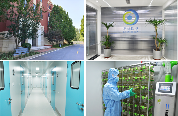 CDX/PDOX/PDX模型 - 北京科途医学科技有限公司 — 类器官技术 | 肿瘤个体化精准医学 | 肿瘤功能性检测