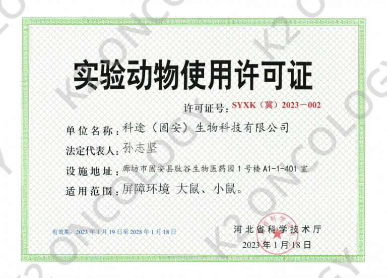 CDX/PDOX/PDX模型 - 北京科途医学科技有限公司 — 类器官技术 | 肿瘤个体化精准医学 | 肿瘤功能性检测