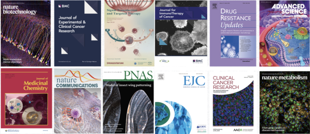 客户文章解读 | 类器官模型揭示ACOT8调控脂代谢与铁死亡介导的胰腺癌耐药新机制 - 北京科途医学科技有限公司 — 类器官技术 | 肿瘤个体 ...